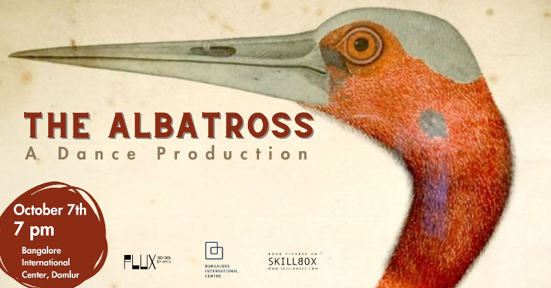 The Albatross - A Dance Production | Music Events | SkillBox